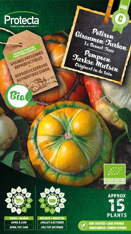 Potiron Giraumon Turban FR-BIO-15 ( Protecta C ) | Central Jardin